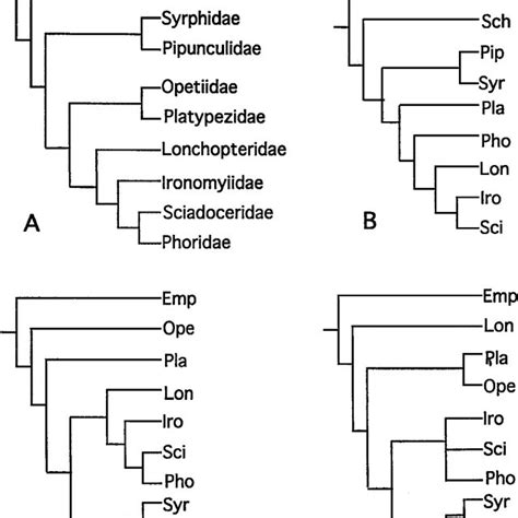 Pdf Congruence And Controversy Toward A Higher Level Phylogeny Of Diptera