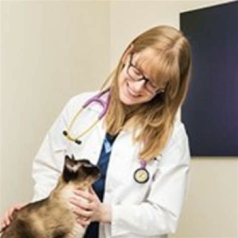 Kelly Siebert Linkedin