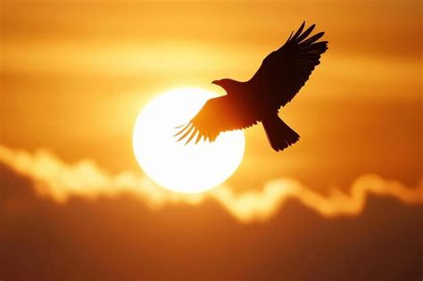 Silhouette Of A Bird Soaring Against A Vibrant Sunset Sky Over A