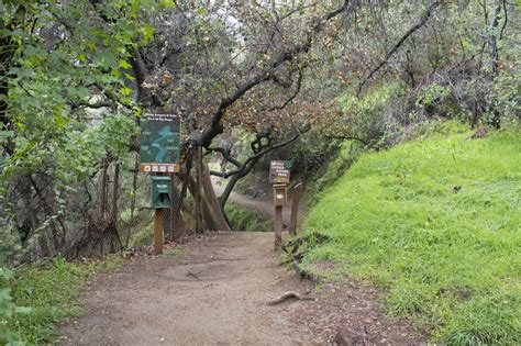 Monrovia Canyon Waterfall Hike Hike Los Angeles