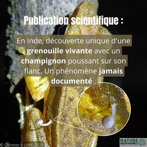 Nature Biodynamics Posted On Linkedin