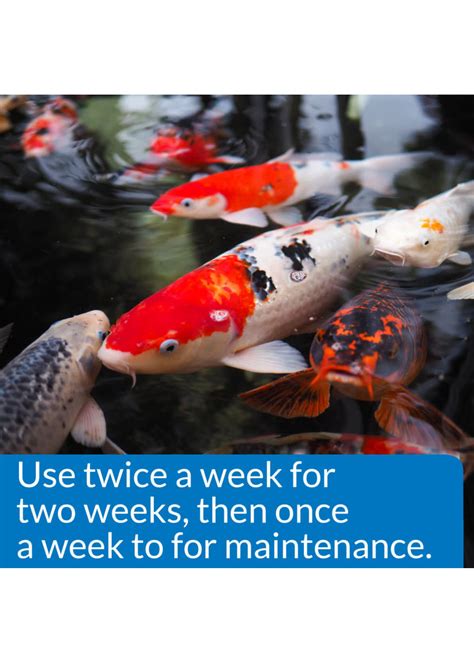 Api Microbial Algae Clean 16 Oz The Hidden Reef Inc