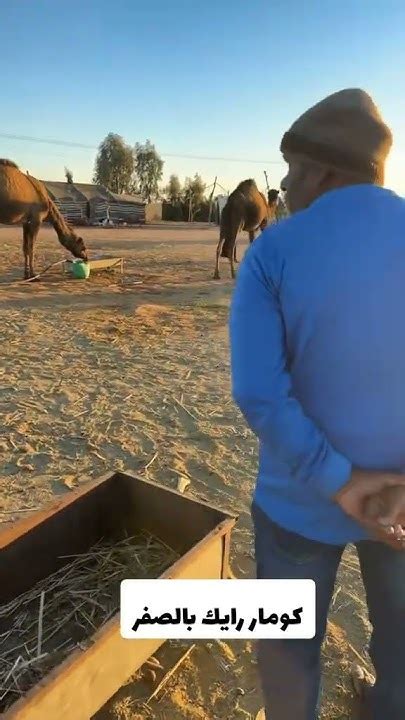 كومار الصفر كويس Youtube