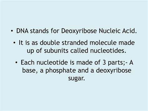 Nucleic Acids Are The Subunits At Timothy Votaw Blog