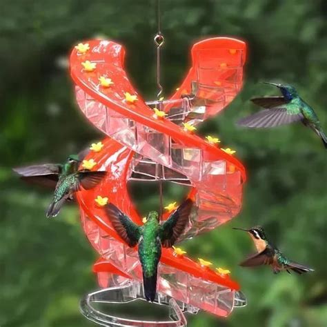 Sherem Dna Helix Hummingbird Feeder Fnkstore