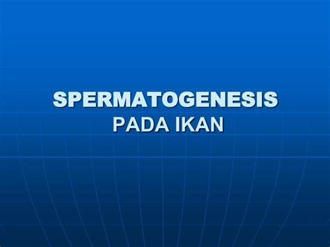 Spermatogenesis Fish 07 Ppt