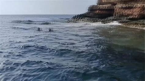 Foder Portuguesa Praia Search Xnxx Com