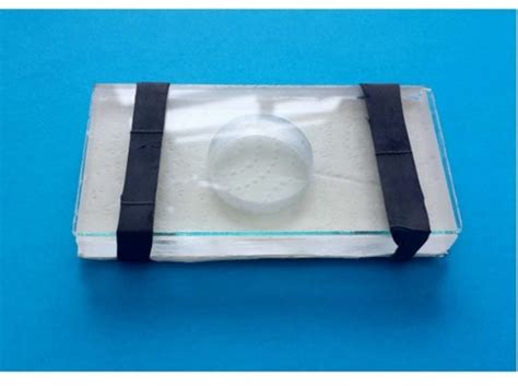 Huffaker Cage Used In The Experiments Photo By R Antonelli