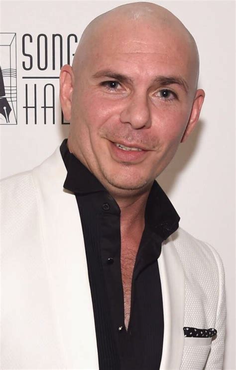 Pitbull At The Songwriters Hall Of Fame 6 15 17 Pitbull The Singer