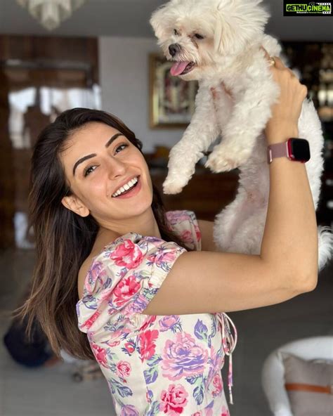Actress Hansika Motwani Hd Instagram Photos And Wallpapers June 2023