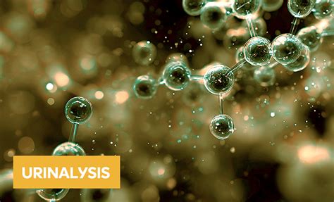 Science Of Urinalysis Dysmorphic Rbcs