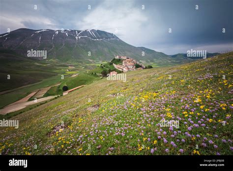 Colorful Flowers In Bloom Frame The Medieval Village Castelluccio Di