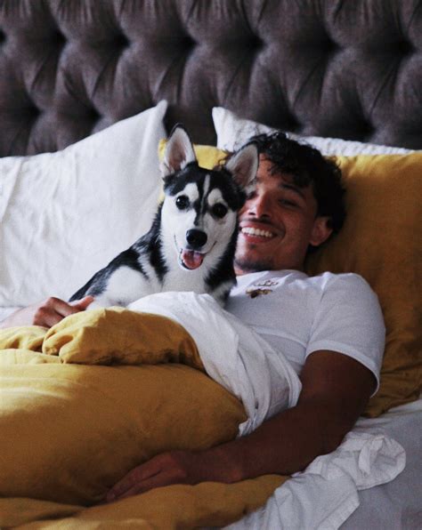 Alayna Hershey Alaynahershey Twitter