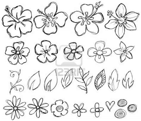 How To Draw A Hawaiian Flower How To Draw A Tropical Flower Cjwxvr