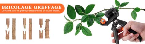 Fimghsoo Ciseaux De Greffage Professionnel Ciseaux De Jardinage Pince à