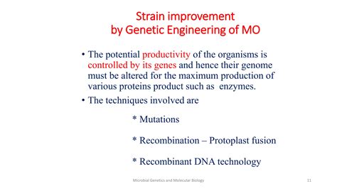 Strain Improvement In Microbial Genetics Pptx