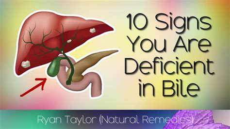 Signs Of Throwing Up Bile At Frank Ellis Blog