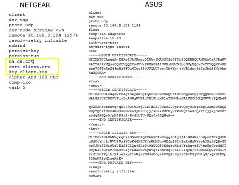 setting up and using openvpn on netgear routers smallnetbuilder
