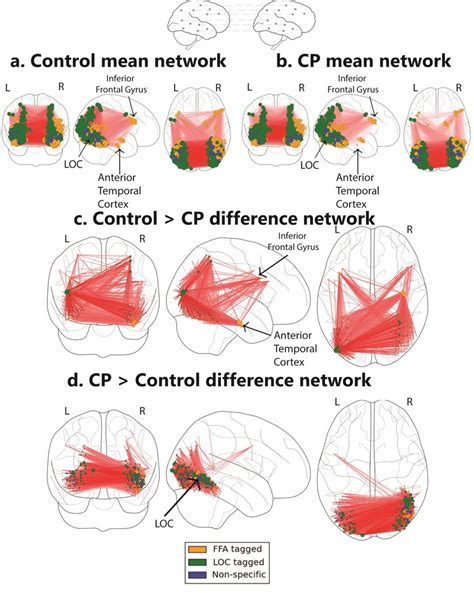 Networks Obtained Using The Isfc Approach Download Scientific Diagram