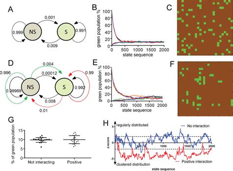 Features Of Spatially Interacting Markov Chain Processes A C Model Download Scientific