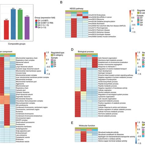 Cluster Analysis Of Differentially Expressed Proteins A