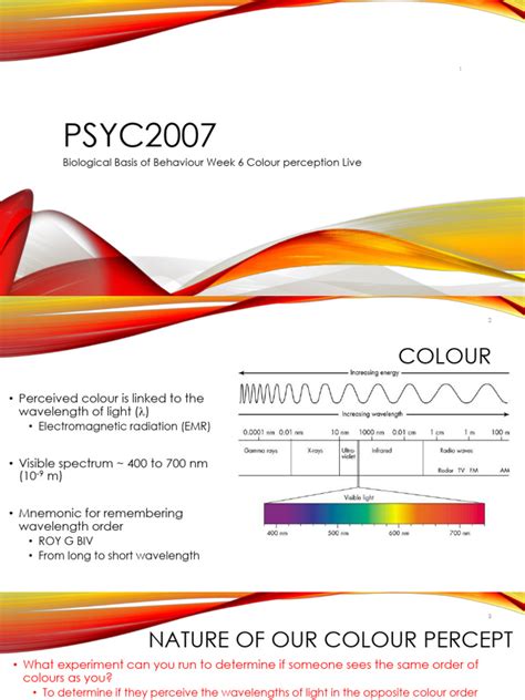 Week 6 Colour Perception Pdf