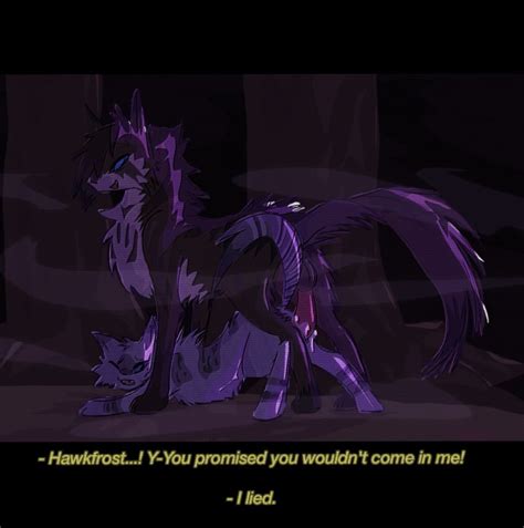 Rule 34 Domestic Cat Duo English Text Fake Screencap Felid Feline Felis Female Female