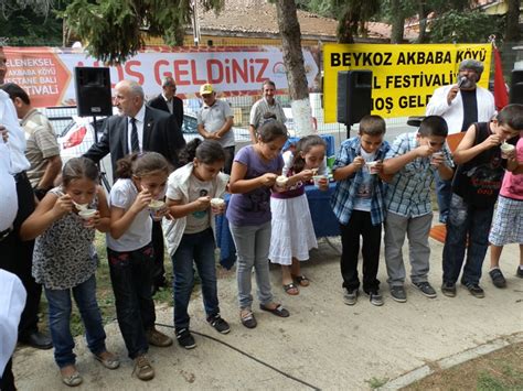 Arici Alİ TÜrk Ve Aricilik Bİlgİlerİ Beykoz Akbaba KÖyÜ Kestane Bal