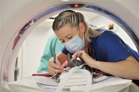 Vet Its December Tomorrow So That Means One Thing Its Time For