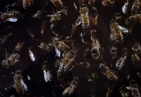 These 21 Films Had Crazy Behind The Scenes Stories