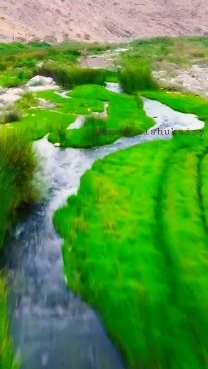 العامراتواديعدي Youtube