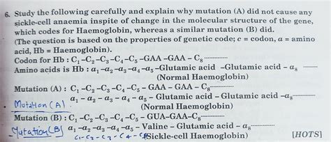 Solved 6 Study The Following Carefully And Explain Why