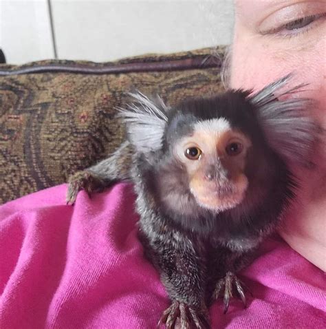 Kyle Hennington The Naked And Afraid Community Has Lost Facebook