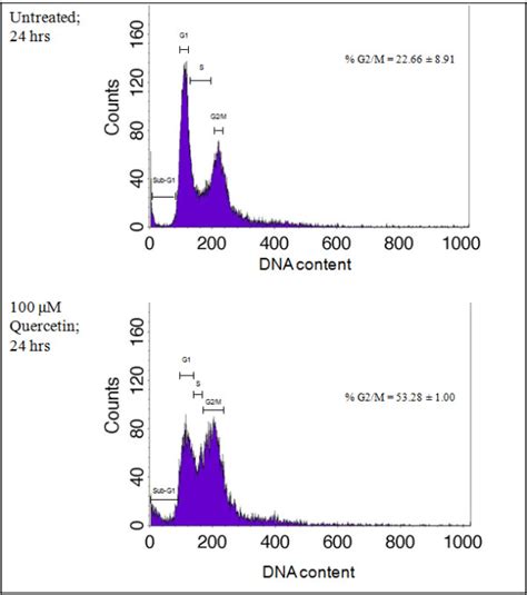 Cell Cycle Analysis By Brdu Labelling In Untreated And Download