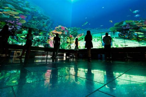 Quts The Cube P Block Gardens Point Science Festival Visualisation Big Data