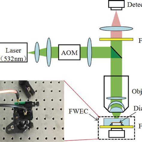 Pdf Fluorescence Detection Using Optical Waveguide Collection Device