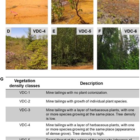 Vegetation Density Classes Vdc And Description A Vdc 1 B Vdc 2