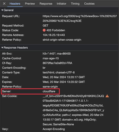 No Bug New Update Seems To Break Svgs Even With Verified Code Bugs Bricks Community Forum