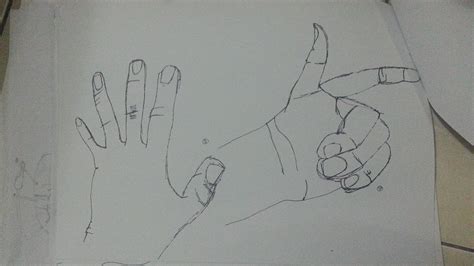 Basic Drawing Basic Drawing Assignment 4 Contour Drawing