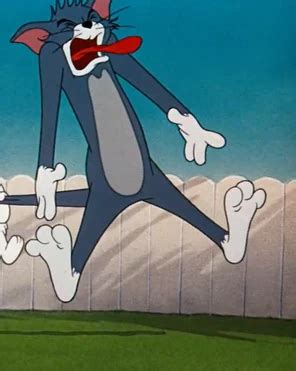 Tom Cat Screams By Maxiethefox2005 Deviantart Stuff Fan Art Fun