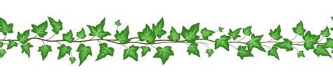 Ivy Leaf Border Free Vectors Ivy Leaves And Lines