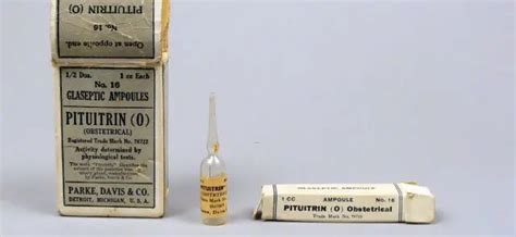 Subinvolution Of The Uterus In Cows Treatment And Prevention Healthy