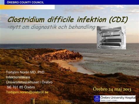 Clostridium Difficile Infektion Cdi