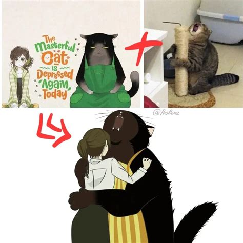 If Yukichi Was A Meme 🐈‍⬛1 Cute Animals Memes Photo And Video