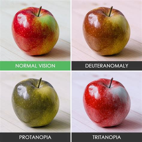 This Is How People With Color Blindness See