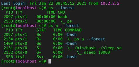 Shell Script 3 Shell Scriptlerin Çalışma Mantığı Ali Sezişli Kernel Panic Not Syncing
