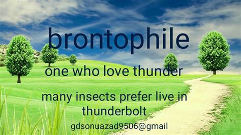 50 Types Of Philes And What They Love Artofit