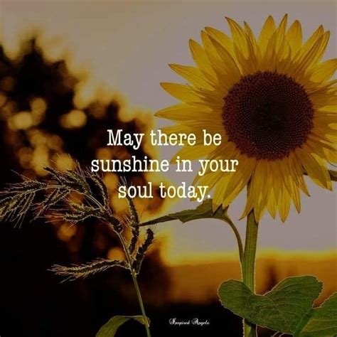 May There Be Sunshine In Your Soul Today Good Morning With