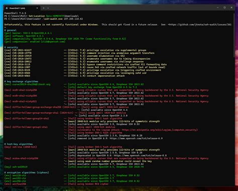 Ssh Audit Penetration Testing Tools