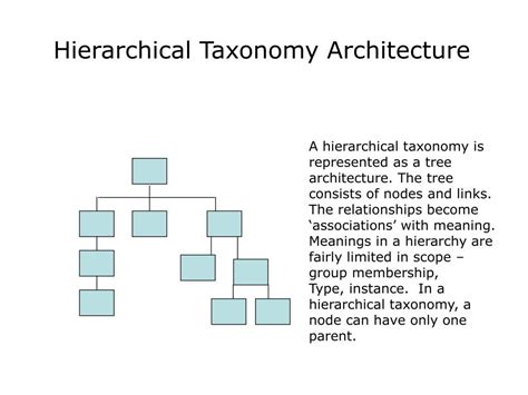 Ppt Taxonomy Powerpoint Presentation Free Download Id 5743489